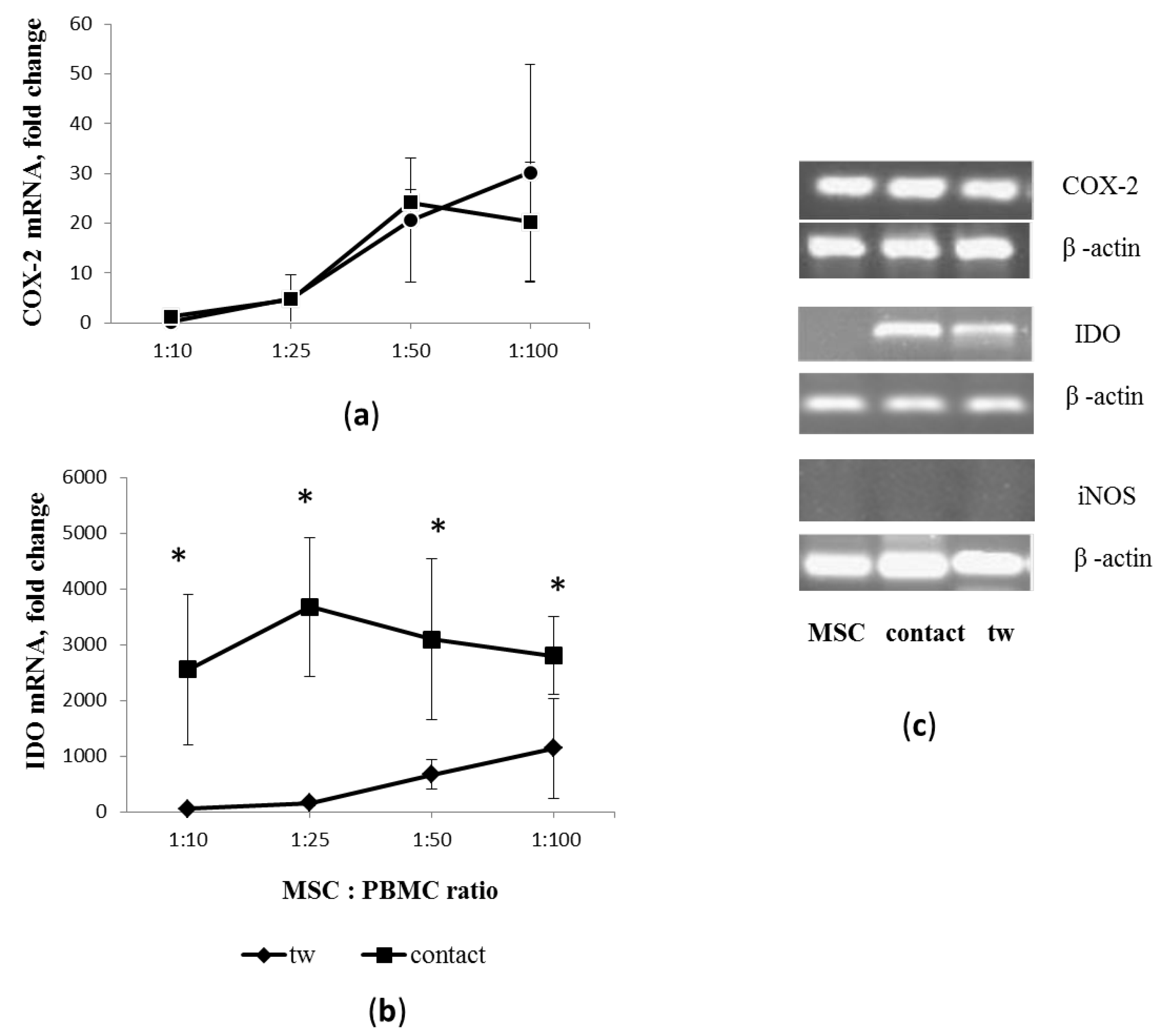 Equilibrium among Inflammatory Factors Determines Human MSC-Mediated ...