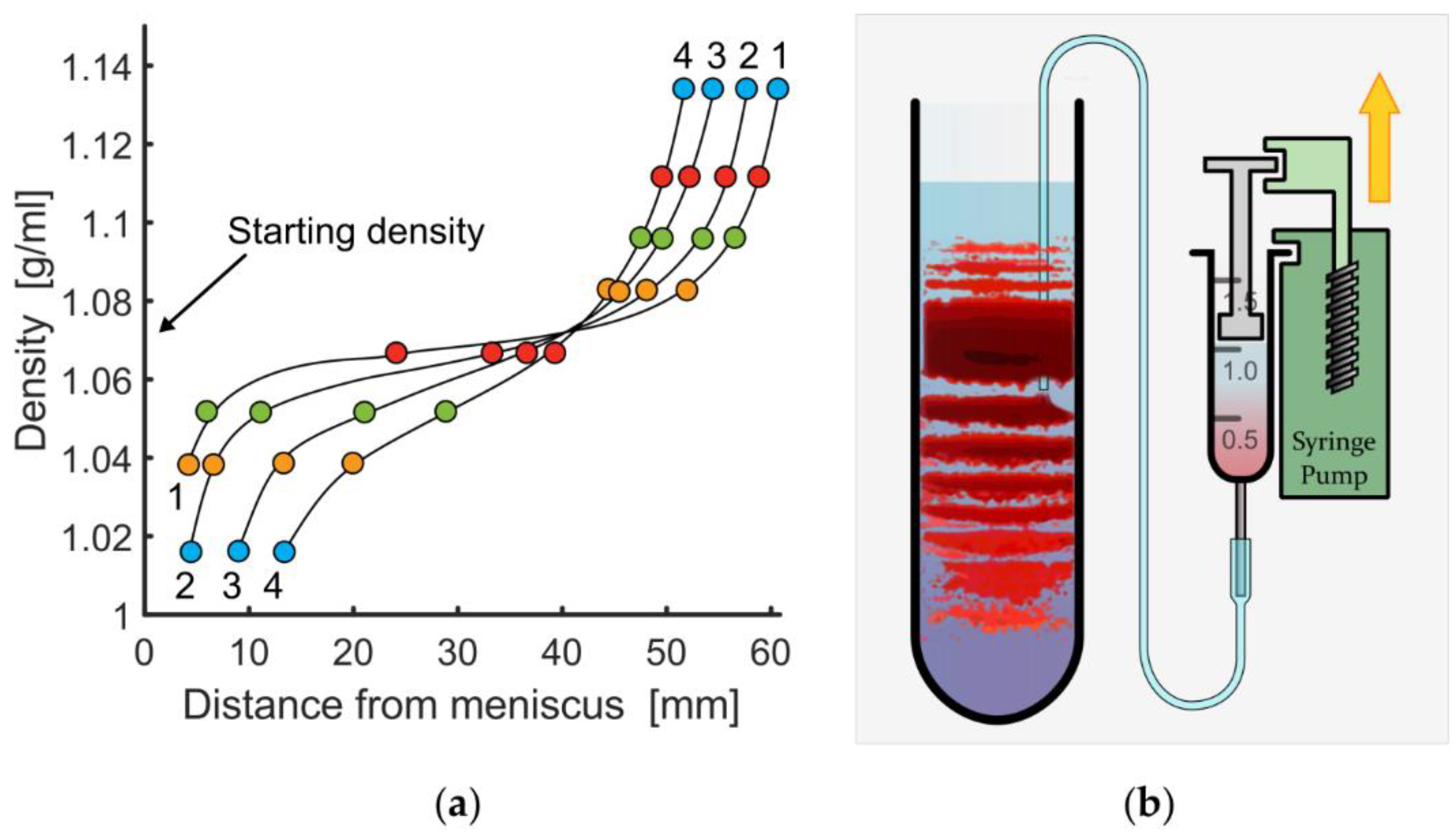 Continuous Percoll Gradient Centrifugation Of Erythrocytes—explanation