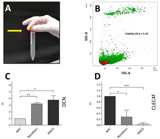 Optimized Isolation and Characterization of C57BL/6 Mouse Hepatic ...