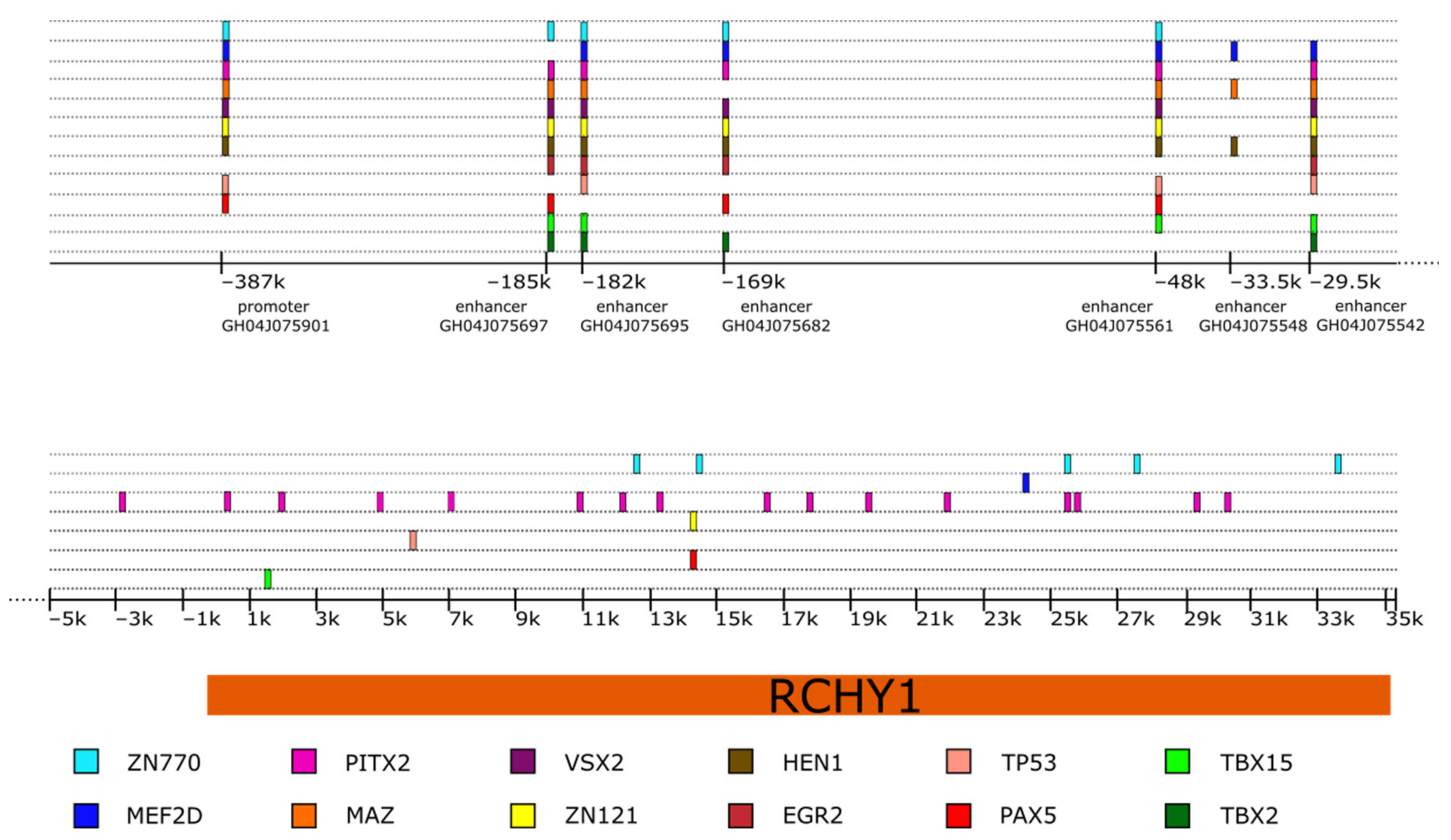 The Role of E3 Ligase Pirh2 in Disease
