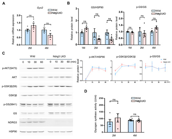 Glycogen Storage Disease Phenotypes Accompanying the Perturbation of ...