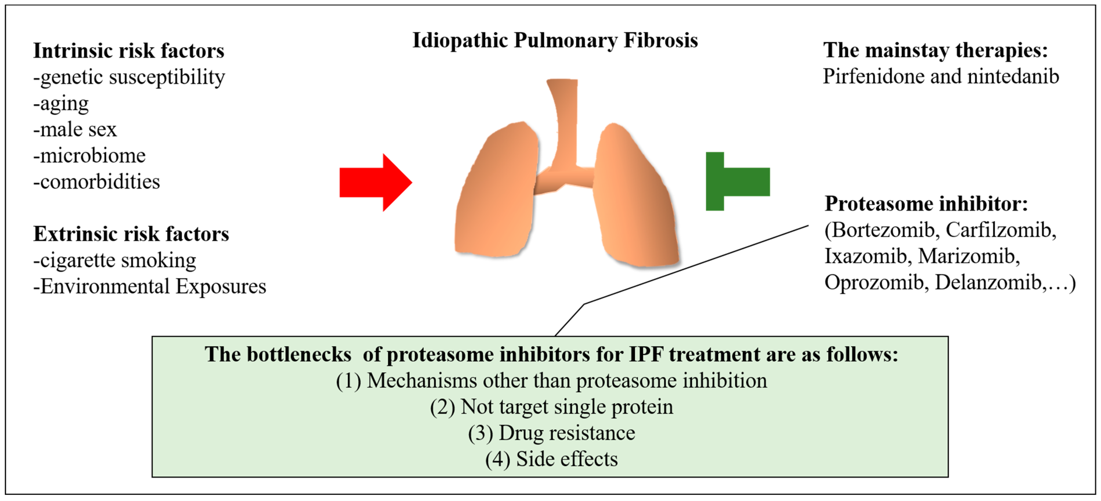 Evaluation of Proteasome Inhibitors in the Treatment of Idiopathic ...