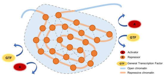 Long-Distance Repression by Human Silencers: Chromatin Interactions and ...