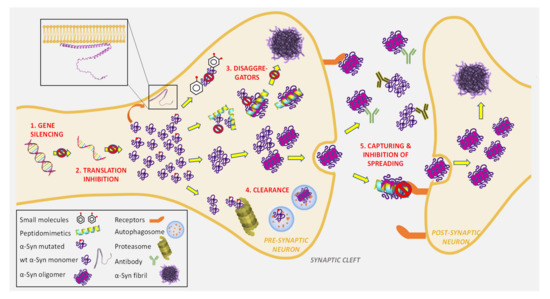 Alpha-Synuclein Aggregation Pathway in Parkinson’s Disease: Current ...