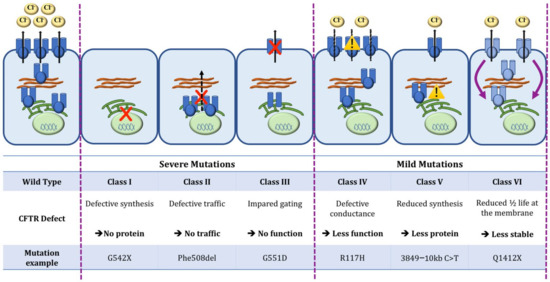 CFTR Modulators in People with Cystic Fibrosis: Real-World Evidence in ...
