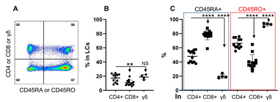 Differential Expression of CD45RO and CD45RA in Bovine T Cells