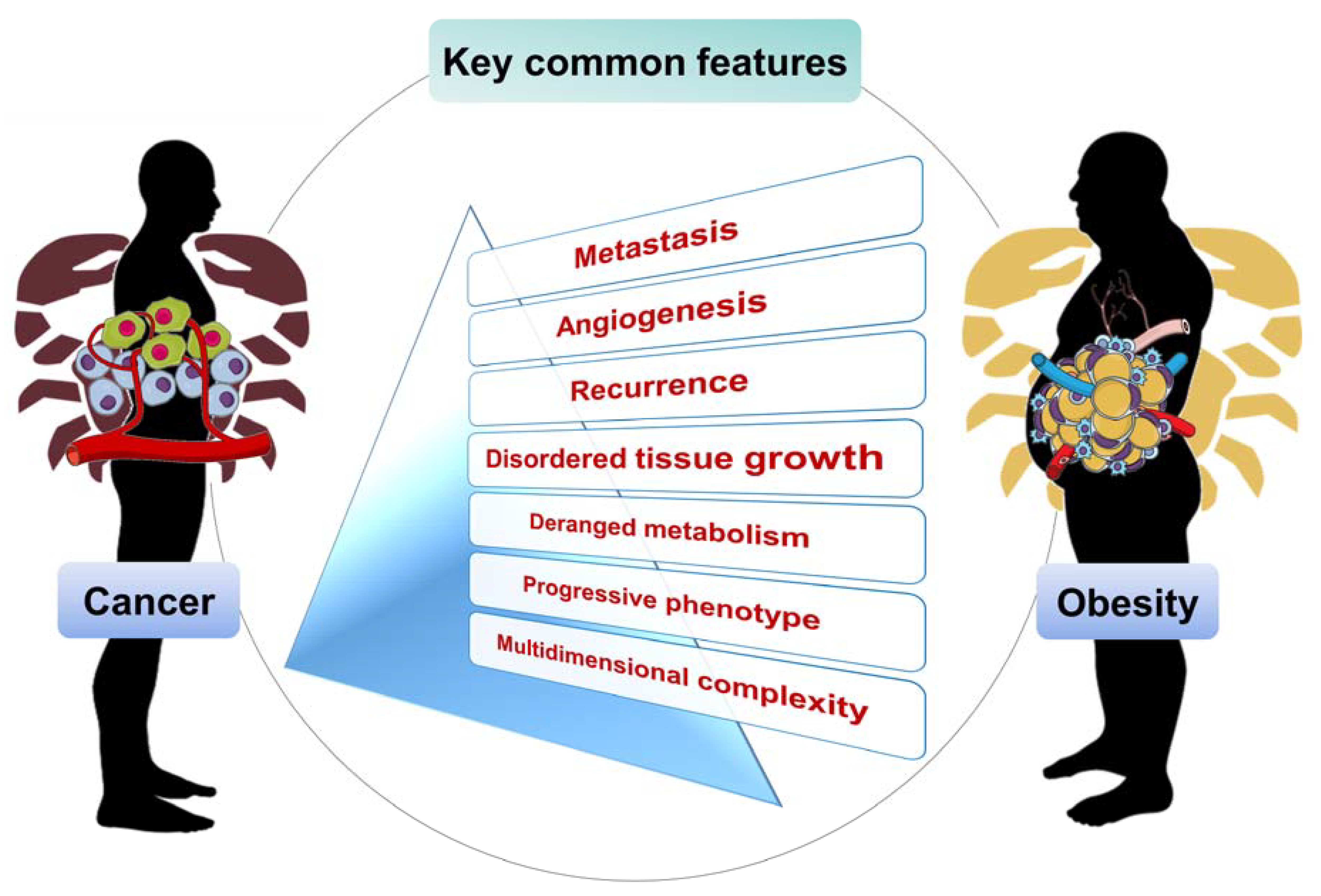 Cells | Free Full-Text | Obesity: The Fat Tissue Disease Version of Cancer