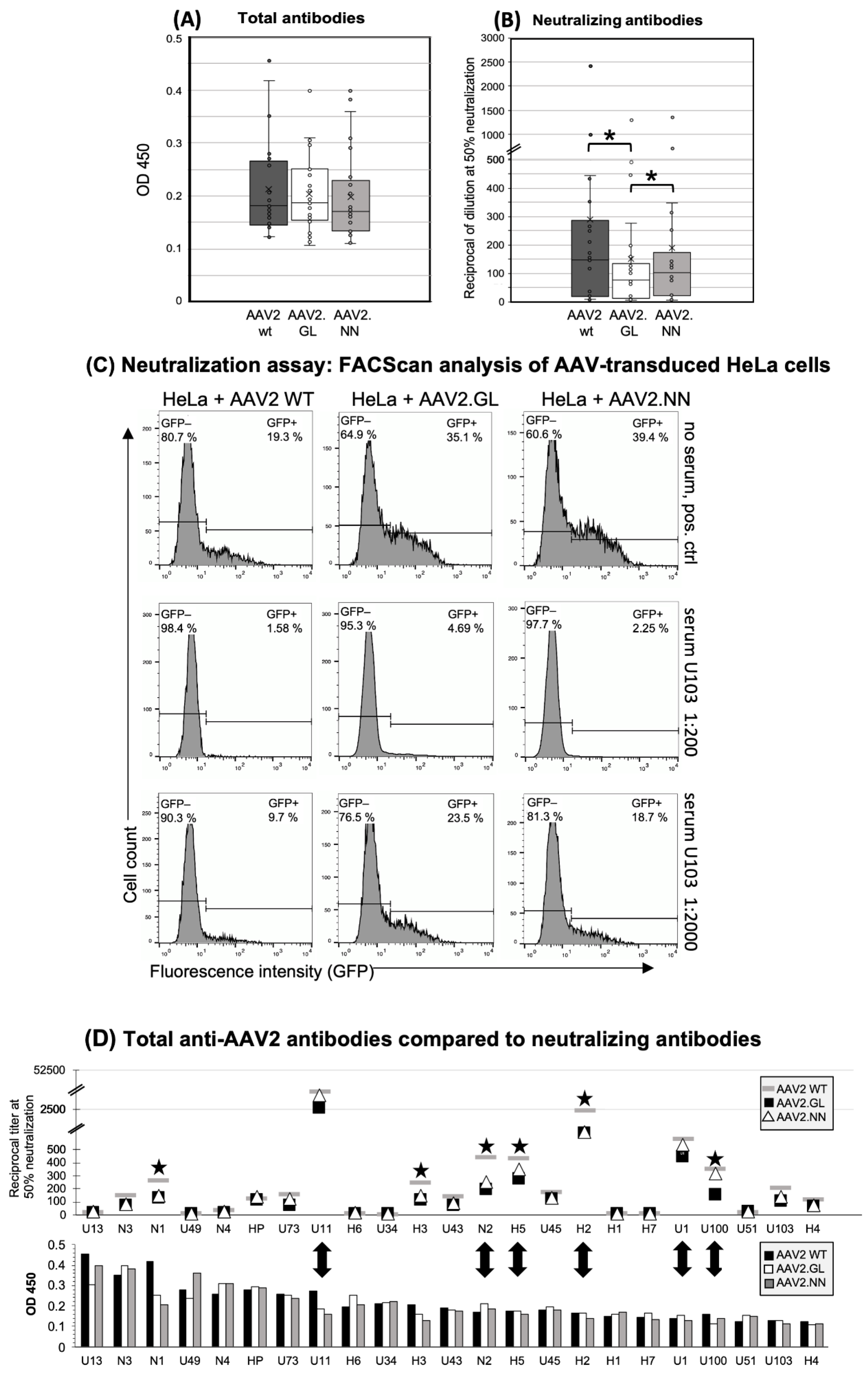 Immunogenicity of Novel AAV Capsids for Retinal Gene Therapy