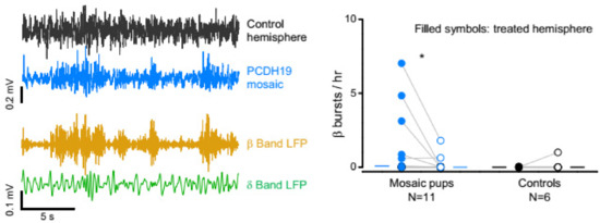 Perturbation of Cortical Excitability in a Conditional Model of PCDH19 ...