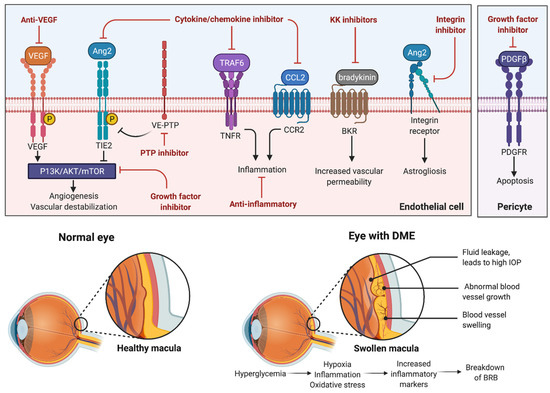 Cells | Free Full-Text | Current and Novel Therapeutic Approaches for ...