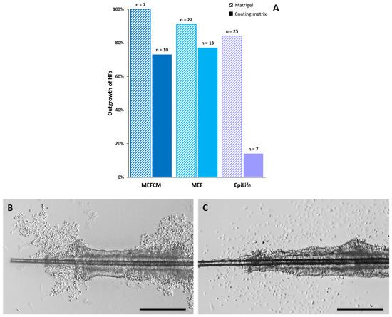 Generating iPSCs with a High-Efficient, Non-Invasive Method—An Improved ...