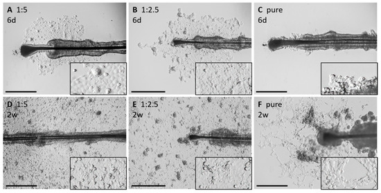 Generating iPSCs with a High-Efficient, Non-Invasive Method—An Improved ...