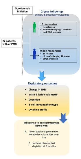 Cells | Free Full-Text | Ocrelizumab in Patients with Active Primary Progressive Multiple ...