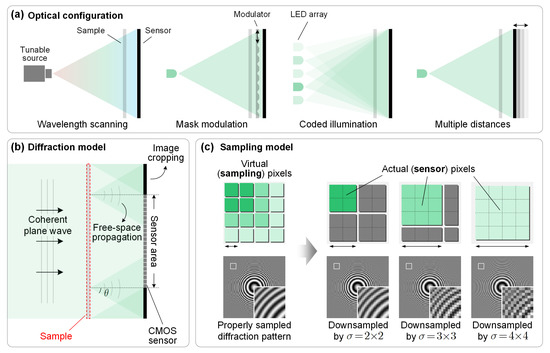 Cells | Free Full-Text | Pixel Super-Resolution Phase Retrieval for Lensless On-Chip Microscopy ...
