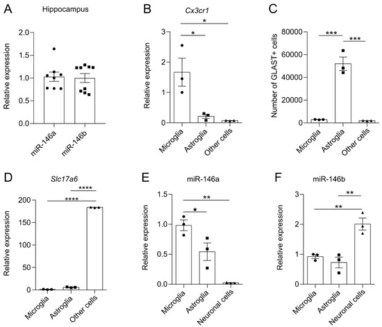 Cells | Special Issue : Induced Impairment of Neurogenesis and Brain ...