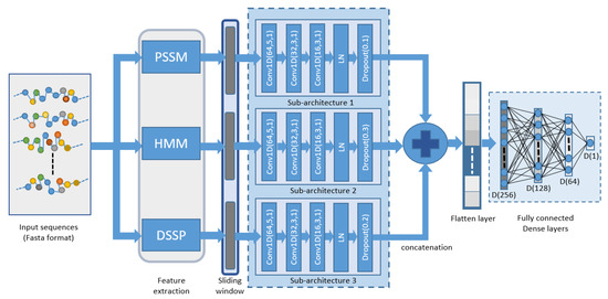 Cells | Free Full-Text | ProB-Site: Protein Binding Site Prediction ...