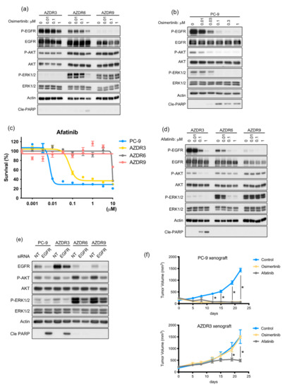 Cells | Free Full-Text | Diverse Mechanisms of Resistance against ...