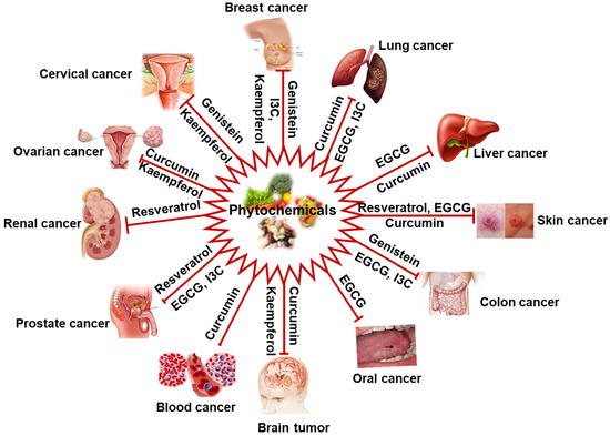 The Role of Natural Products and Their Multitargeted Approach to Treat ...