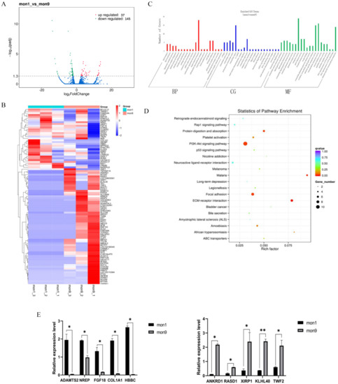 Cells | An Open Access Journal from MDPI