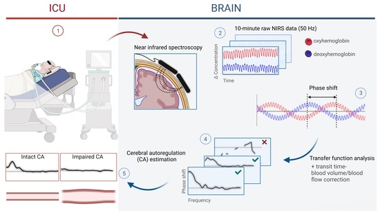 Cells | Free Full-Text | Cerebral Autoregulation Assessment Using the ...