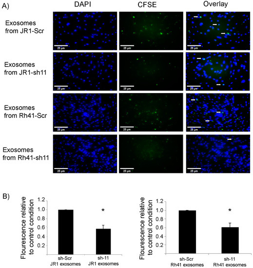 Cells | An Open Access Journal from MDPI