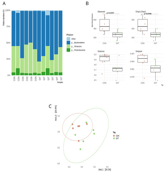 Cells | An Open Access Journal from MDPI