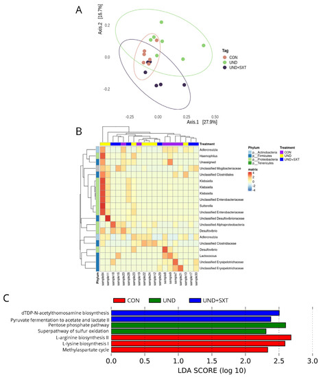 Cells | An Open Access Journal from MDPI