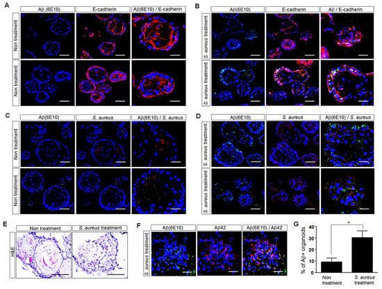 Cells | An Open Access Journal from MDPI