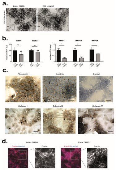 Transcriptional and Epigenetic Consequences of DMSO Treatment on HepaRG ...