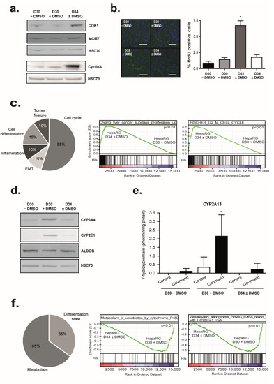 Transcriptional and Epigenetic Consequences of DMSO Treatment on HepaRG ...