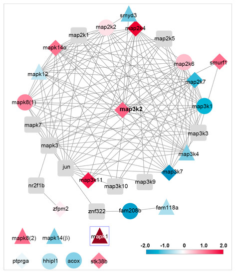 Cells | Free Full-Text | Transcriptomes of Injured Lamprey Axon Tips ...
