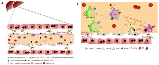 Cells | An Open Access Journal from MDPI