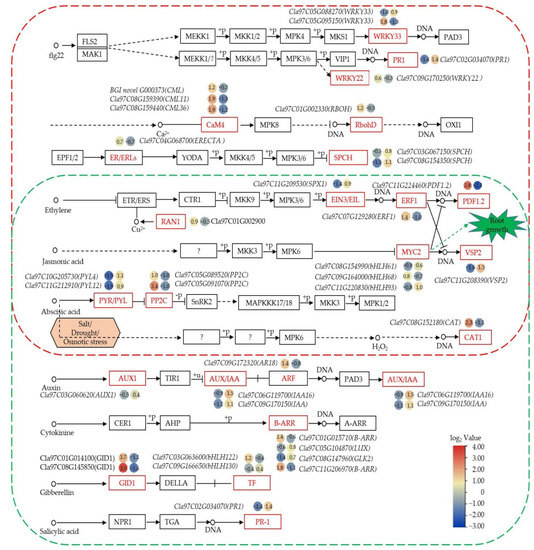 Cells | An Open Access Journal from MDPI