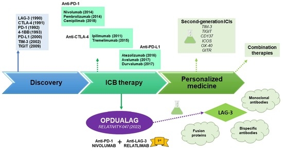 Cells | Free Full-Text | Cutting-Edge: Preclinical and Clinical ...