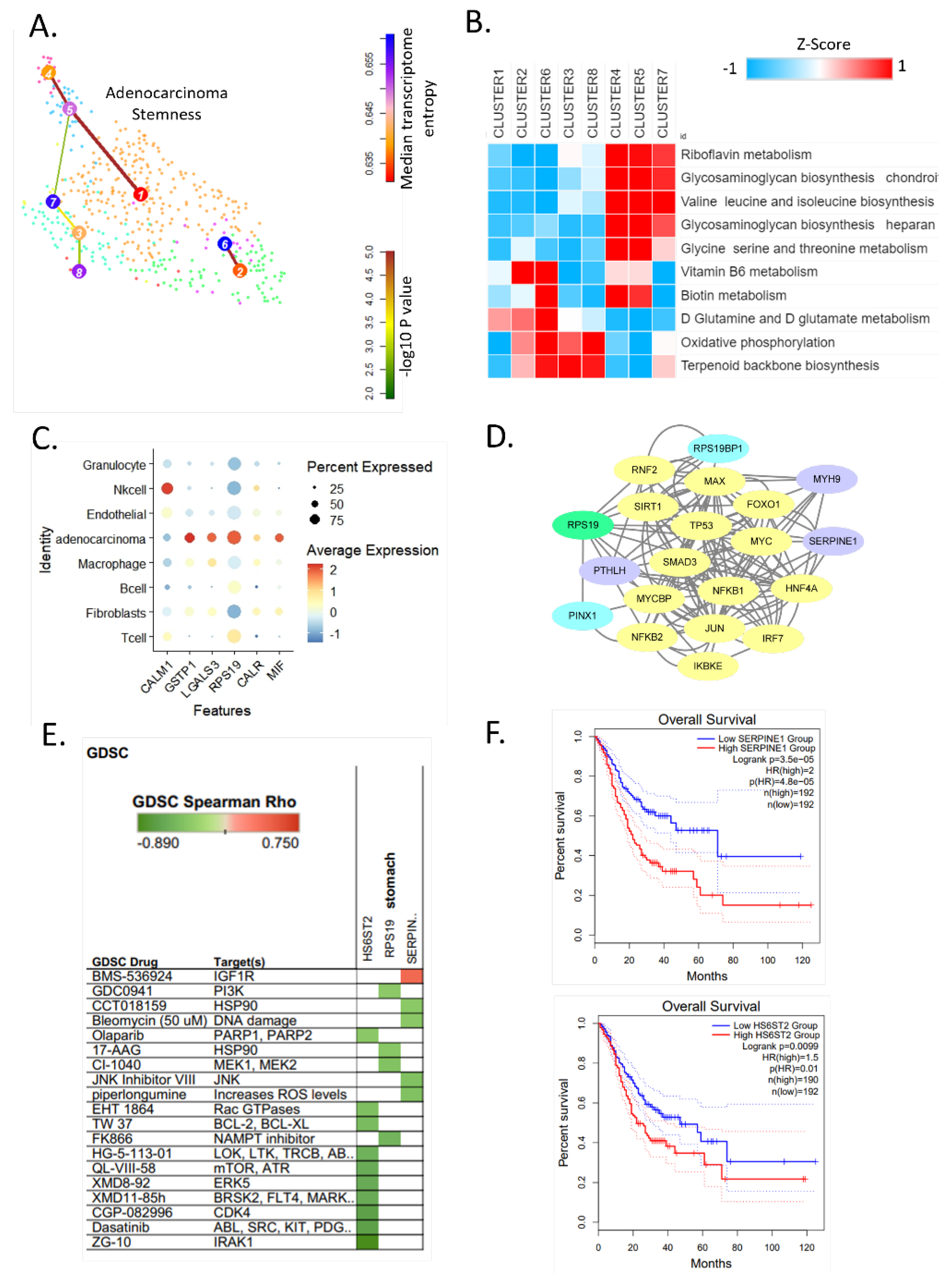 Cells | Free Full-Text | Single Cell Analysis Reveals Reciprocal Tumor ...