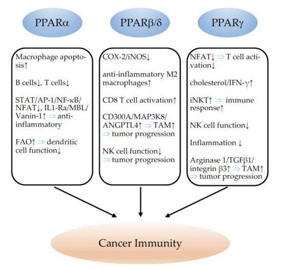 Peroxisome Proliferator-Activated Receptors and the Hallmarks of Cancer