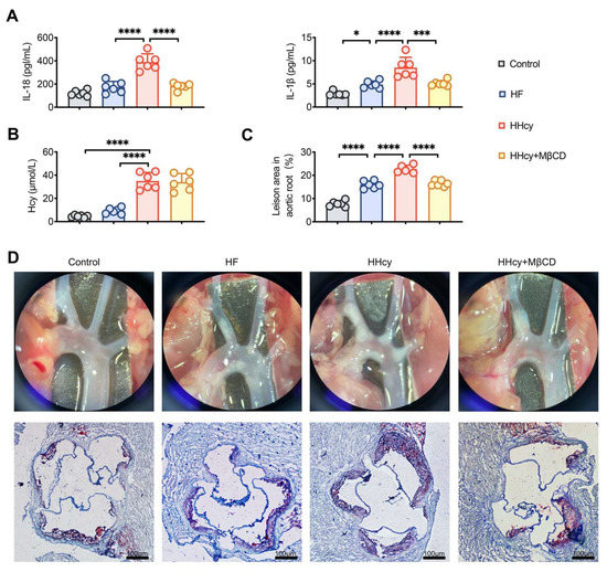 HHcy Induces Pyroptosis and Atherosclerosis via the Lipid Raft-Mediated ...