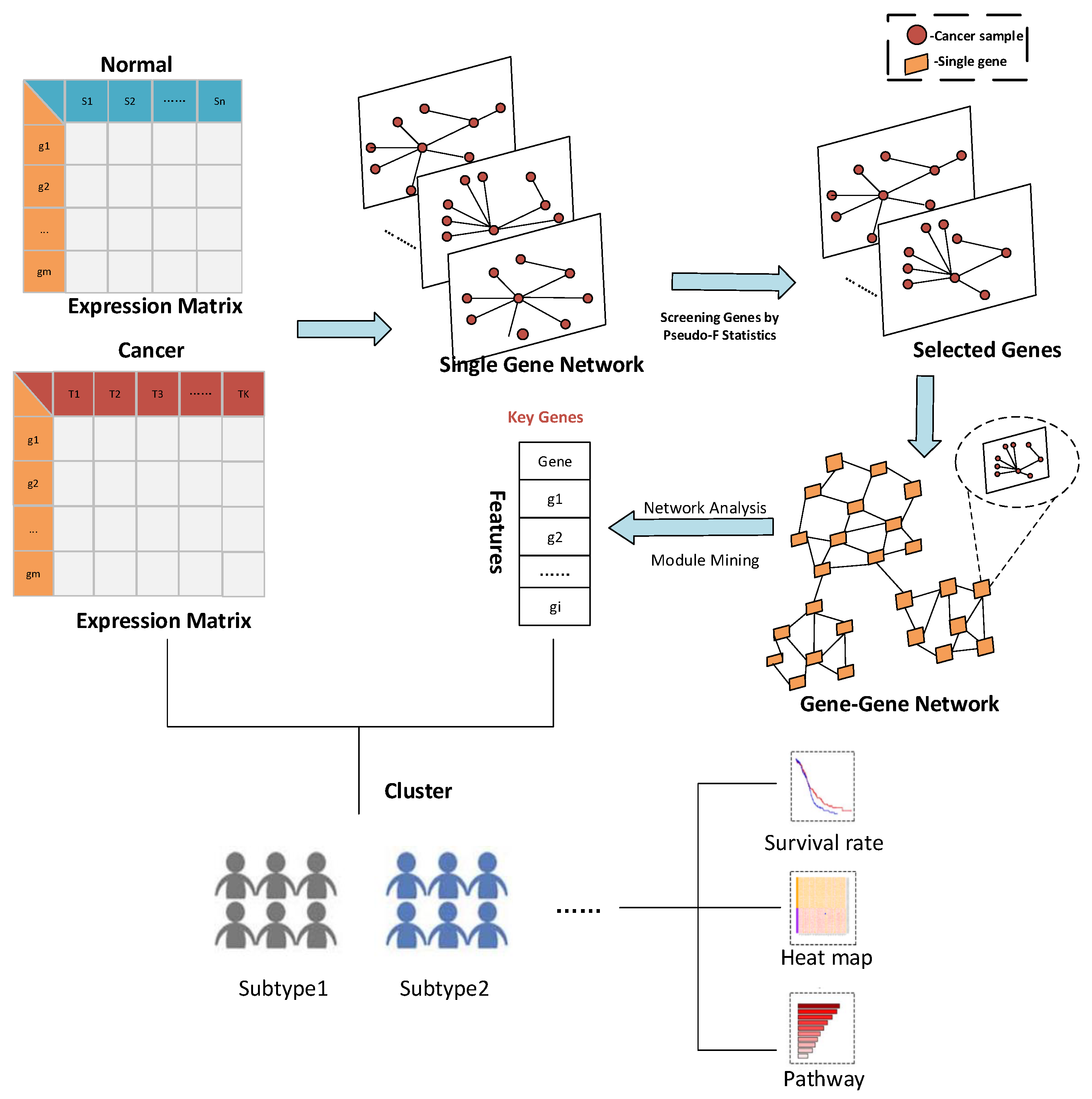 HSSG: Identification of Cancer Subtypes Based on Heterogeneity Score of ...