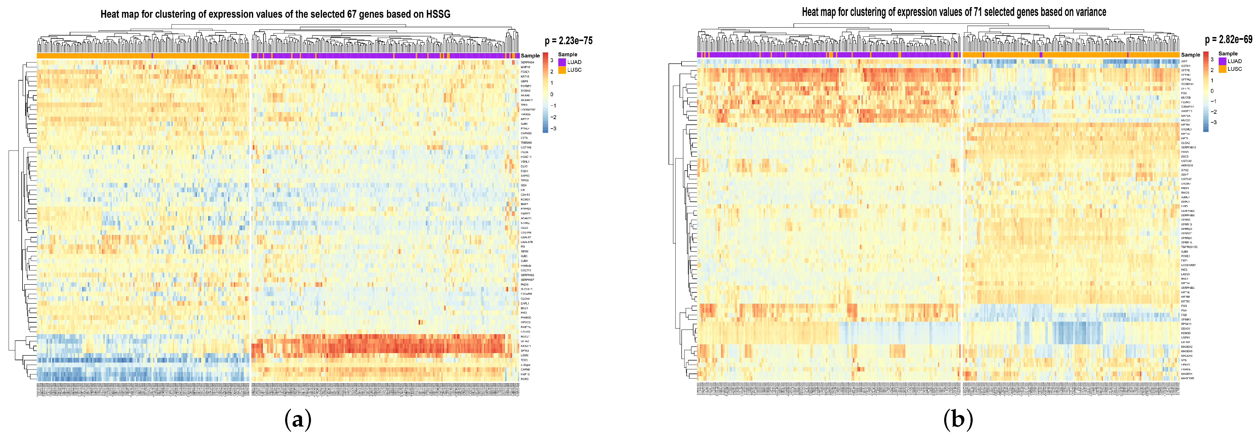 HSSG: Identification of Cancer Subtypes Based on Heterogeneity Score of ...