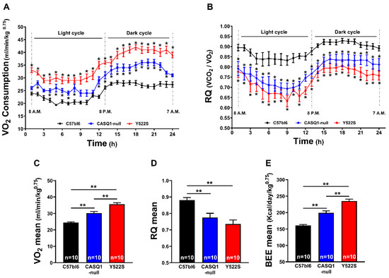 Oxygen Consumption and Basal Metabolic Rate as Markers of ...
