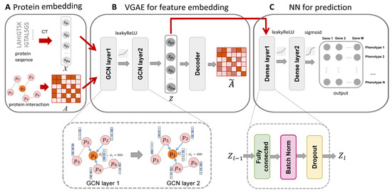 Cells | Free Full-Text | Integration of Human Protein Sequence and ...