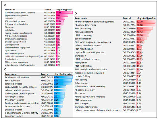 Cells | An Open Access Journal from MDPI