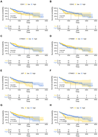 Cells | An Open Access Journal from MDPI