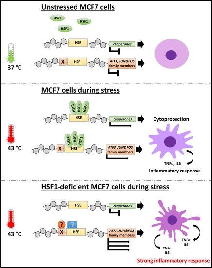 Cells | An Open Access Journal from MDPI