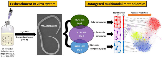 Cells | An Open Access Journal from MDPI