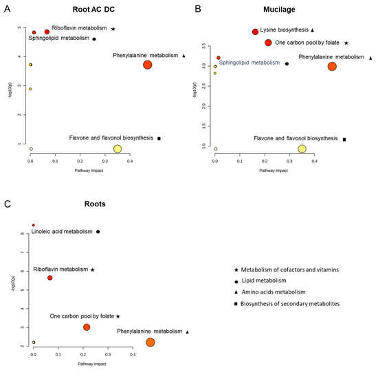 Elicitation of Roots and AC-DC with PEP-13 Peptide Shows Differential ...