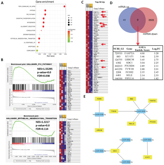 Cells | Free Full-Text | Integrated Analysis of the microRNA–mRNA Network Predicts Potential ...