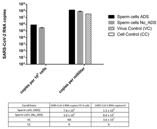 Cellular and Molecular Mechanisms of In Vivo and In Vitro SARS-CoV-2 ...