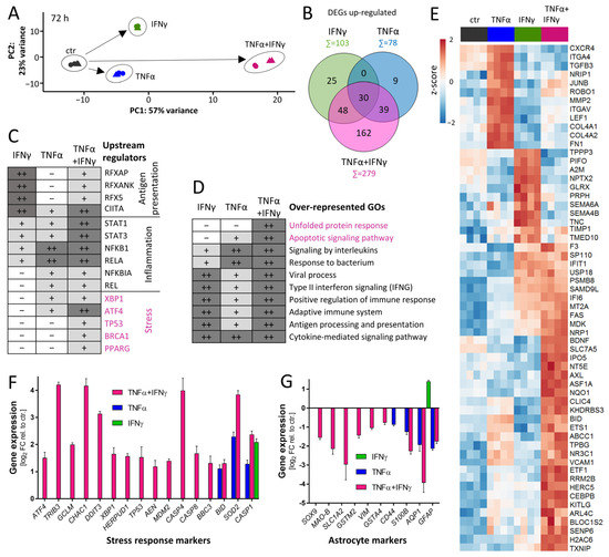 Cells | Free Full-Text | Distinct and Dynamic Transcriptome Adaptations ...