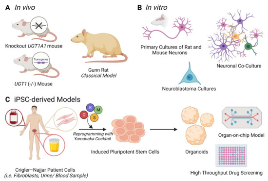 Bilirubin-Induced Neurological Damage: Current and Emerging iPSC ...